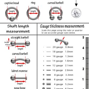 FIFTH CUE Solid G23 Implant Grade Titanium Internally Threaded Labret Monroe Cartilage Stud w/Jeweled Ball (16GA (1.2mm) | 1/2" (12mm))