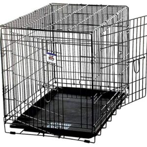 Pet Lodge® Wire Dog Crate | Small Pet Carrier | Easy to Clean | Multi-Functional Pet Crate | Double Door Crate | Great for Pets Up to 70lbs | Large