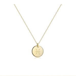 befettly constellation necklace pendant 14k gold-plated hammered round disc engraved star sign pendant 17.5’’ adjustable dainty necklace nk-pisces