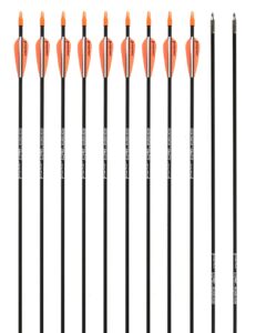 pandarus archery 28" fiberglass archery target practice arrows, for children, woman or beginner, for recuve bow(pack of 12) …