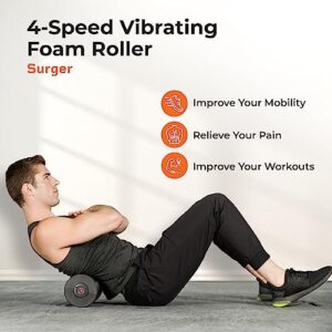 LifePro 4 Speed Vibrating Foam Roller for Physical Therapy & Exercise - High-Intensity Vibrating Roller for Muscle Recovery & Pliability Training - Back Roller for Deep & Gentle Trigger Point Therapy