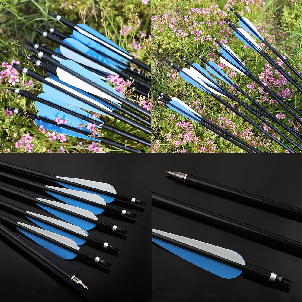 AMEYXGS 12 Pack 30 Inch Archery Aluminum Arrows Spine 300 Hunting Arrows Target Practice Arrow with Field Point for Recurve Bow or Compound Bows (arrow)