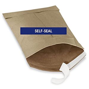 uline kraft self-seal padded mailers #0, 6” x 10", s-21308 (10)