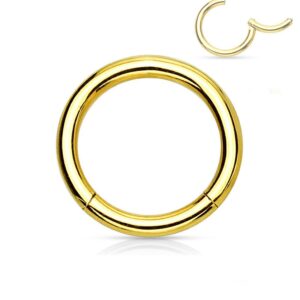 Forbidden Body Jewelry 316L Surgical Steel Hinged Seamless Nose Rings Hoop 14 gauge (14G), Diameter 8mm, Gold Tone.