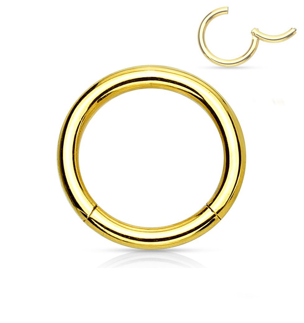 Forbidden Body Jewelry 316L Surgical Steel Hinged Seamless Nose Rings Hoop 14 gauge (14G), Diameter 8mm, Gold Tone.