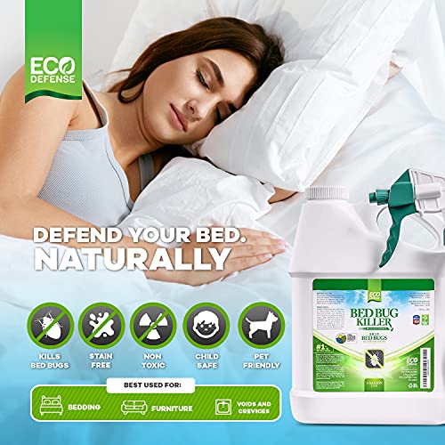 Eco Defense Bed Bug Killer - USDA Biobased, Bed Bug Spray & Dust Mite Spray - Natural Repellent Treatment - 1 Gallon