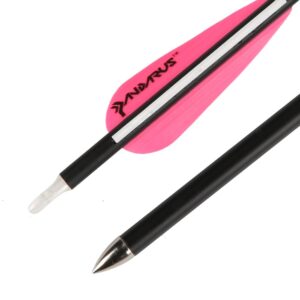 PANDARUS Archery Carbon Arrows 28-Inch Safety Beginner's Target Practice for Compound & Recuve Bow - (Pack of 12) Pink