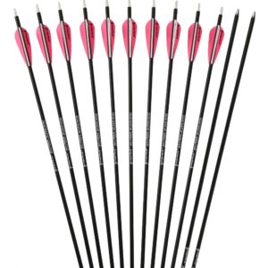 PANDARUS Archery Carbon Arrows 28-Inch Safety Beginner's Target Practice for Compound & Recuve Bow - (Pack of 12) Pink