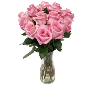 farm direct fresh pink roses for mother's day | pink rose flower bouquet of 12 fresh roses (dozen) + vase included - roses for delivery