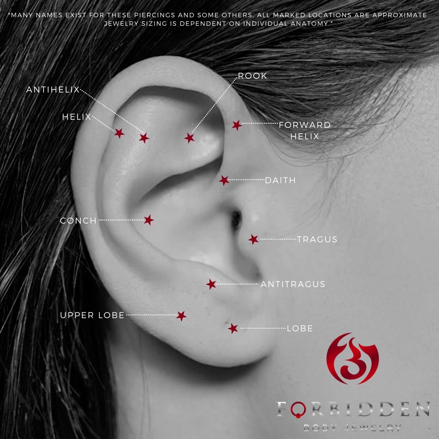 Forbidden Body Jewelry 16g 6mm Surgical Steel Tragus, Helix, Cartilage Earring and Labret Piercing Stud with Winding Key Top