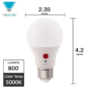 Triglow T95203-6 LED Dusk-to-Dawn A19 Bulb, 9W (60W Equivalent) 800 Lumen, Non-Dimmable, Daylight 5000K, Dusk-to-Dawn LED Bulbs, 6-Pack