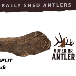 Jumbo Elk Antler Split for Dogs –XXL G Natural Premium Grade A. Antler Chew. Naturally Shed, Hand-Picked, and Made in The USA. NO Odor, NO Mess. GUARENTEED SATISIFACTION. for Dogs 70-90+ Lbs.