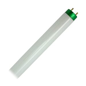 philips 479626 - f32t8/tl941/alto 4 foot plus straight t8 fluorescent tube light bulb