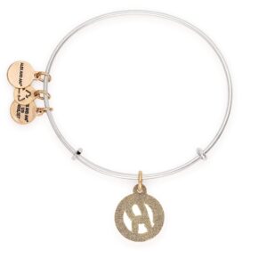 Alex and Ani Women's Initial R II Bangle Two Tone Bracelet, Rafaelian Silver, Expandable