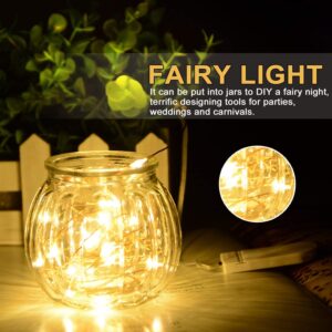 XINKAITE Waterproof LED Fairy String Lights Starry,Battery Operated String Lights no Timer for Indoor&Outdoor Decoration Wedding Christmas Holiday. (Warm White, 10Ft/2pc)