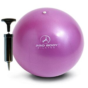 probody pilates ball small exercise ball w/pump, 9 inch barre ball, mini soft yoga ball, workout ball for stability, barre, ab, core, and physical therapy ball at home gym & office (purple)