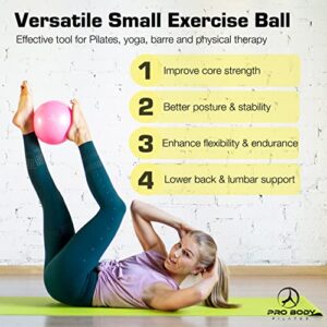 ProBody Pilates Ball Small Exercise Ball w/Pump, 9 Inch Barre Ball, Mini Soft Yoga Ball, Workout Ball for Stability, Barre, Ab, Core, and Physical Therapy Ball at Home Gym & Office (Purple)