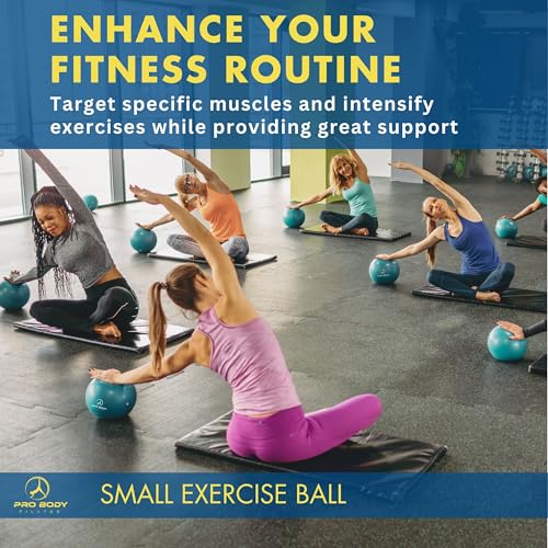 ProBody Pilates Ball Small Exercise Ball w/Pump, 9 Inch Barre Ball, Mini Soft Yoga Ball, Workout Ball for Stability, Barre, Ab, Core, and Physical Therapy Ball at Home Gym & Office (Purple)