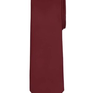 FOMANN Mens Necktie Pocket Square 10 Pcs Set Solid Color Tie and Handkerchief for Wedding (Burgundy)