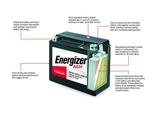 Energizer TX24HL AGM Motorcycle and ATV 12V Battery, 350 Cold Cranking Amps and 21 Ahr, Replaces: YTX24HL-BS and others, Black