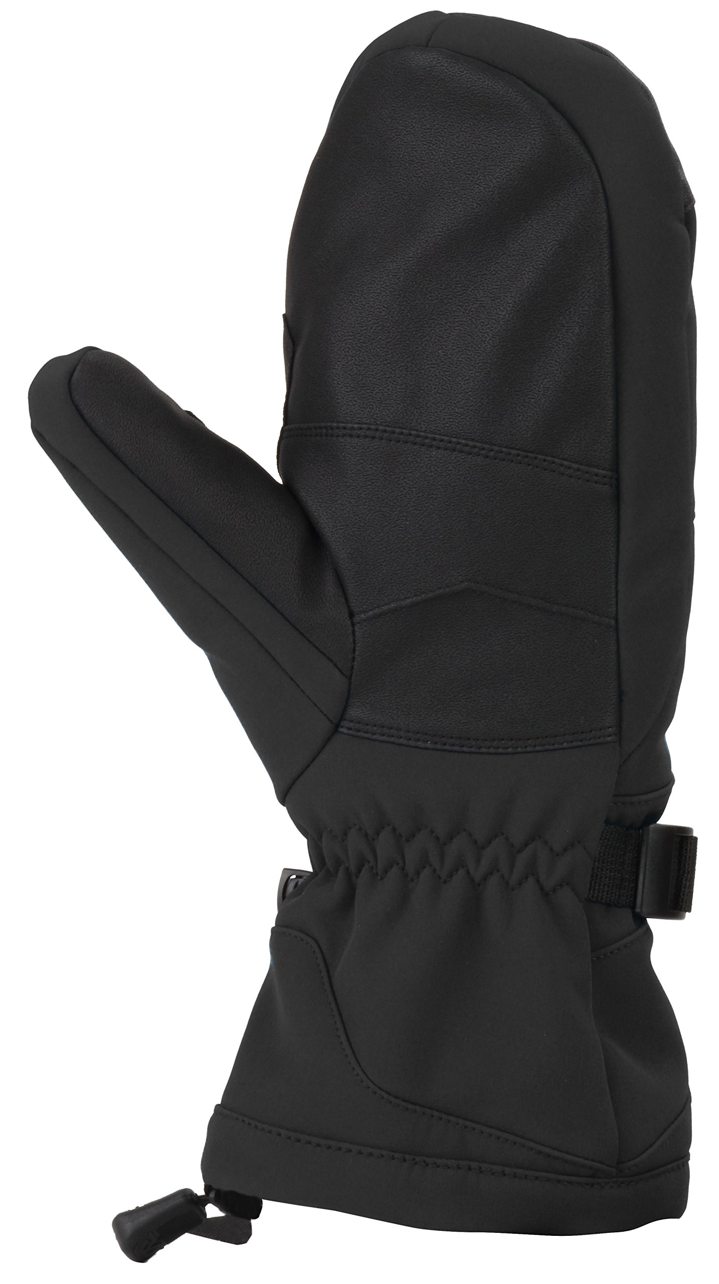 Gordini Men's Polar Ii Waterproof Insulated Mittens, Black, Large