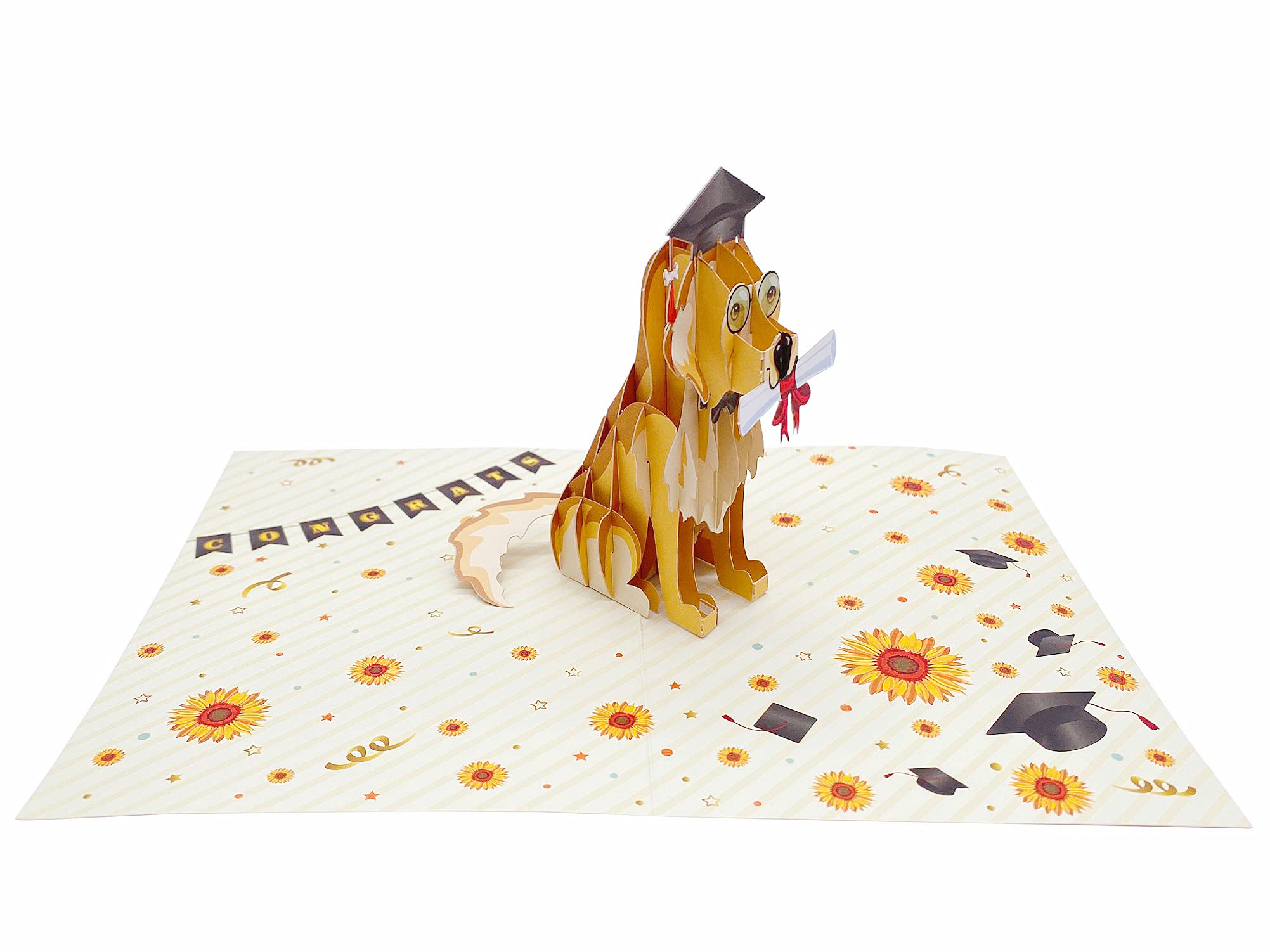 Liif 2024 Graduation Dog 3D Pop Up Graduation Card, Class of 2024, for College, High School, Son, Daughter, PHD, Master