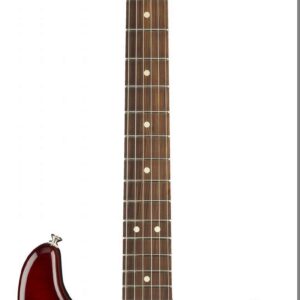 Fender Player Plus Top Stratocaster Electric Guitar, Tobacco Burst, Pau Ferro Fingerboard