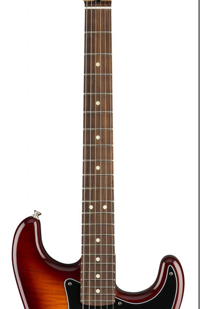 Fender Player Plus Top Stratocaster Electric Guitar, Tobacco Burst, Pau Ferro Fingerboard