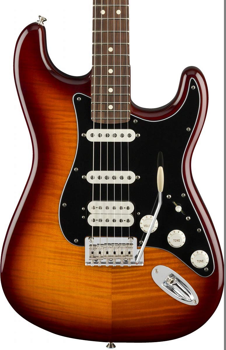 Fender Player Plus Top Stratocaster Electric Guitar, Tobacco Burst, Pau Ferro Fingerboard