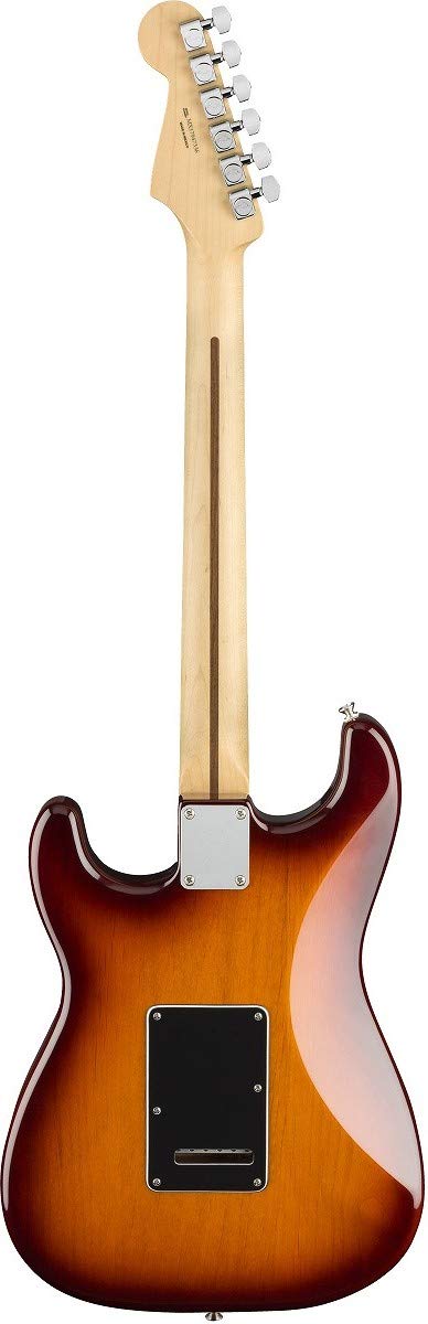 Fender Player Plus Top Stratocaster Electric Guitar, Tobacco Burst, Pau Ferro Fingerboard