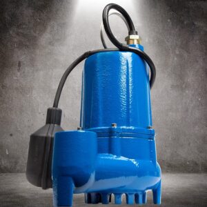 Little Giant Select Series LG-S50T 115-Volt, 1/2 HP, 4300 GPH Cast Iron Sump Pump with Tethered Switch, Blue, 14942675