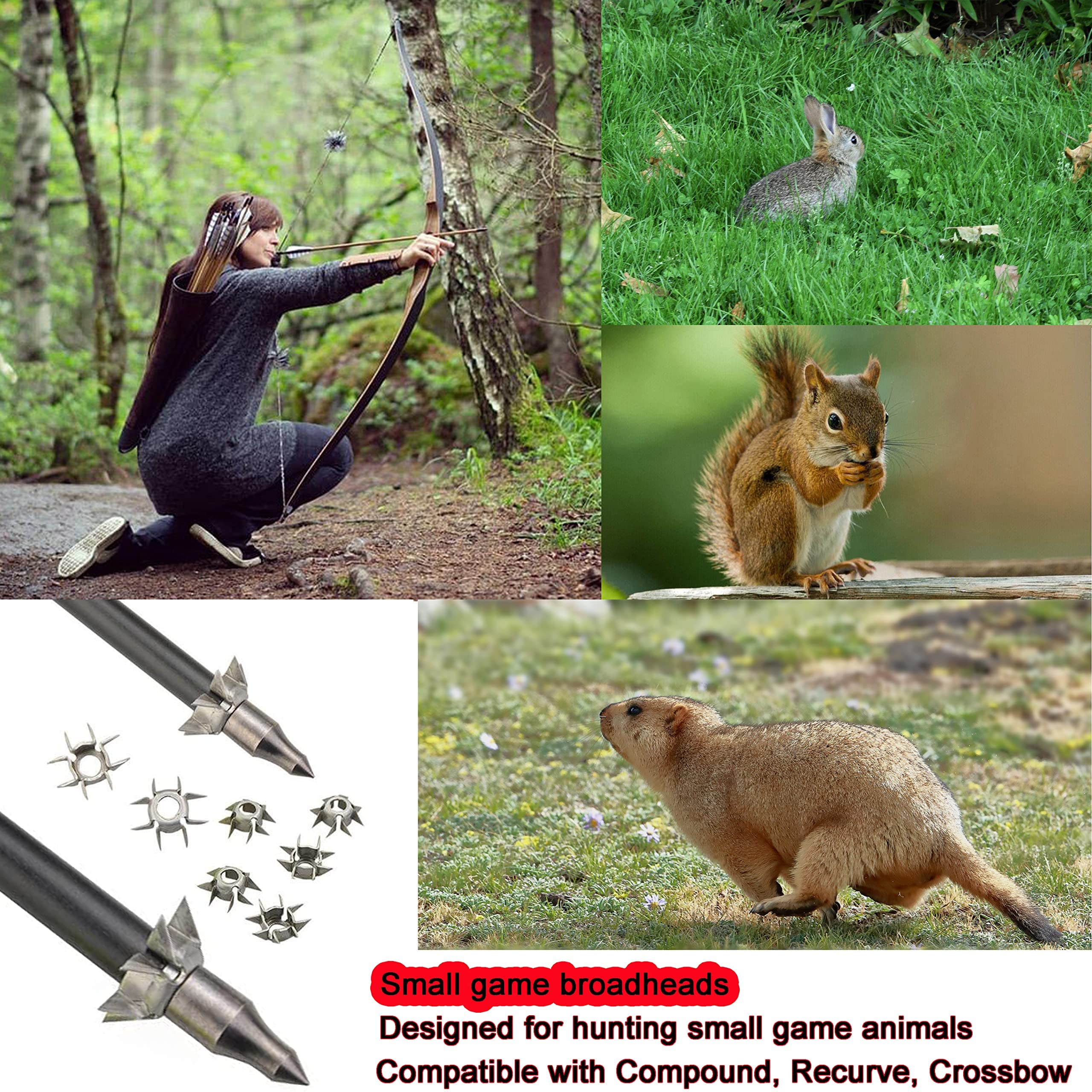 ZSHJG 25 Grain 8 Paw Judo Blunt Tip Archery Judo Broadheads Hunting Small Game Arrow Heads for Hunting Shooting Target 6/12 Pieces (12pcs)