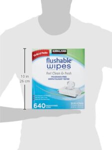 kirkland signature kirkland signature moist flushable wipes 632 wipes, 632 count, white