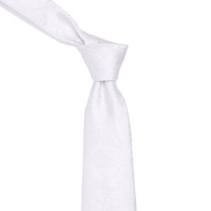 KissTies Mens Necktie Paisley Tie + Gift Box