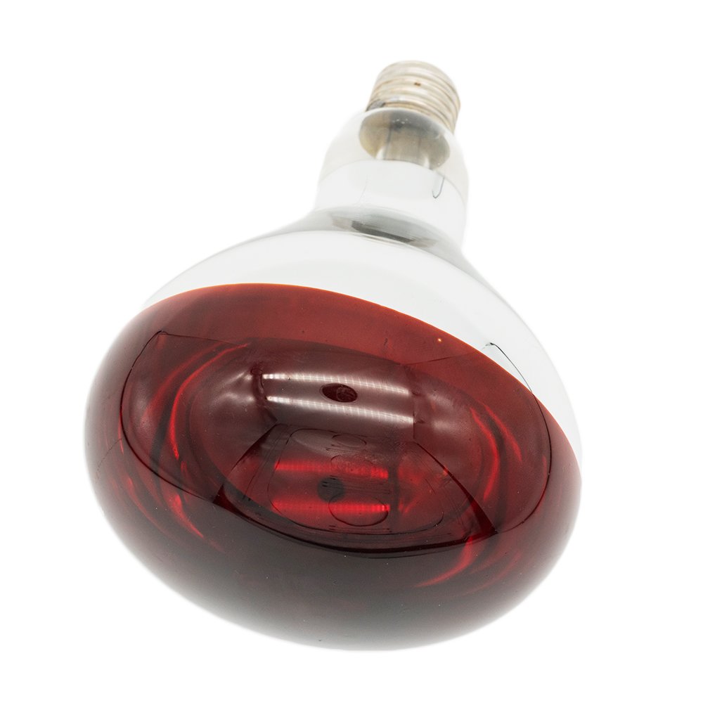 Fengrun Infrared Heat Lamp Bulb Red Light Therapy 250 Watt Dark Red Hard Explosion-Proof Glass for Chicken, Farm, Pets, Warming Bulbs Bathroom Winter(120V,250W)