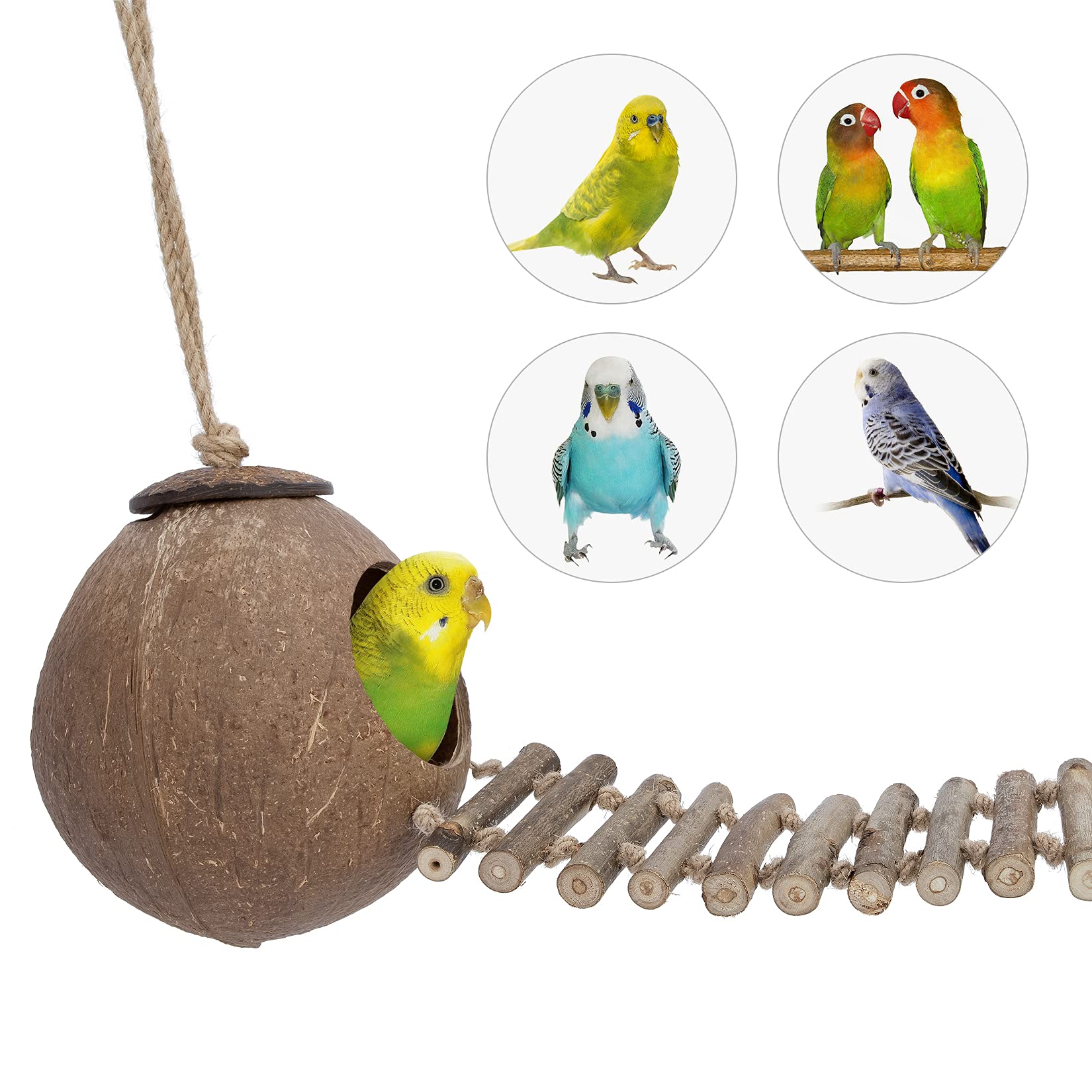 Niteangel Natural Coconut Hamster Hideaway with Ladder, Bird and Small Animal Toy (House with Ladder, Smooth Surface)