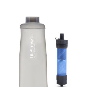 Lifestraw Carbon Capsule Replacement for Flex Water Filtration System