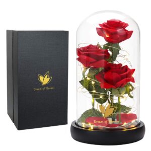 women gifts idea birthday, unique gifts for mom, birthday gifts for women anniversary rose gift decorations beauty and the beast rose flowers romantic red silk rose flower in glass dome