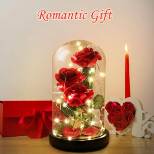 Women Gifts Idea Birthday, Unique Gifts for Mom, Birthday Gifts for Women Anniversary Rose Gift Decorations Beauty and The Beast Rose Flowers Romantic Red Silk Rose Flower in Glass Dome