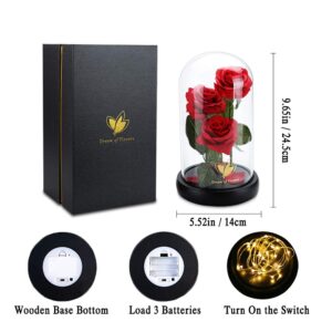 Women Gifts Idea Birthday, Unique Gifts for Mom, Birthday Gifts for Women Anniversary Rose Gift Decorations Beauty and The Beast Rose Flowers Romantic Red Silk Rose Flower in Glass Dome