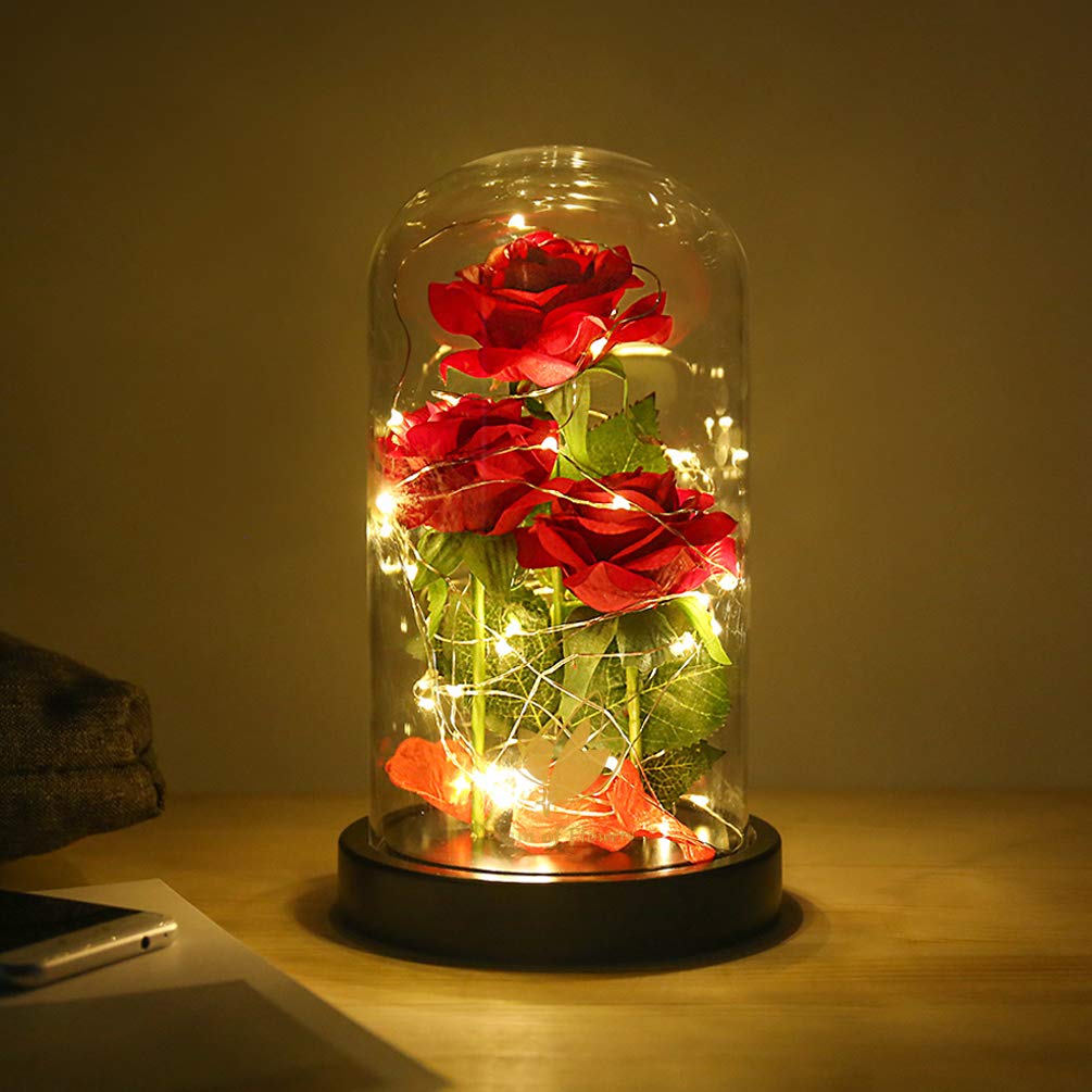 Women Gifts Idea Birthday, Unique Gifts for Mom, Birthday Gifts for Women Anniversary Rose Gift Decorations Beauty and The Beast Rose Flowers Romantic Red Silk Rose Flower in Glass Dome