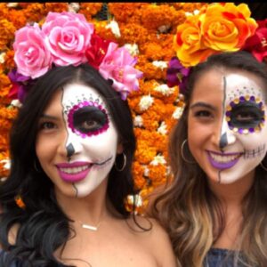 DreamLily Day of The Dead Headband Costume Rose Flower Crown Mexican Headpiece BC40 (Mexican Festival Crown Pink)