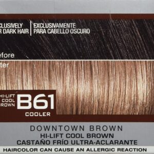 L'Oreal Paris Feria Multi-Faceted Shimmering Permanent Hair Color, B61 Downtown Brown, Hair Dye Kit, Pack of 2