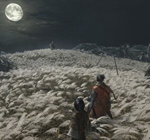 Sekiro Shadows Die Twice - PlayStation 4