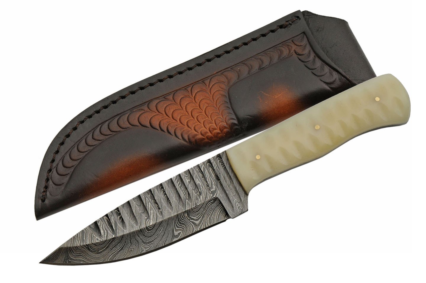 SZCO Supplies Damascus Steel Bone Shark Tooth Knife Hunting Knife