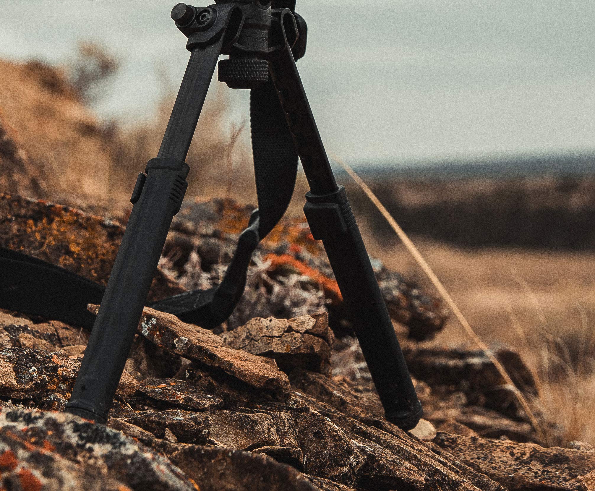 Magpul Rifle Bipod Gun Rest for Hunting and Shooting, M-LOK, Flat Dark Earth