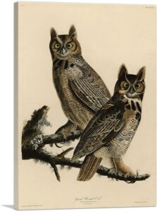 artcanvas great horned owl canvas art print stretched framed painting picture poster giclee wall decor by john james audubon - 12" x 8" (0.75" deep)