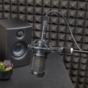 Audio-Technica AT2035 Large Diaphragm Studio Condenser Microphone (Renewed)