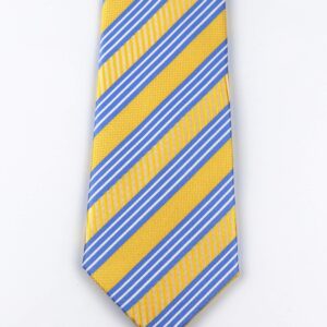 Men's Modern Repp Striped Blue and Yellow Jacquard Woven Silk Tie Casual Necktie