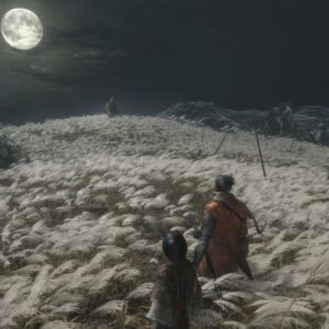 Sekiro - Shadows Die Twice